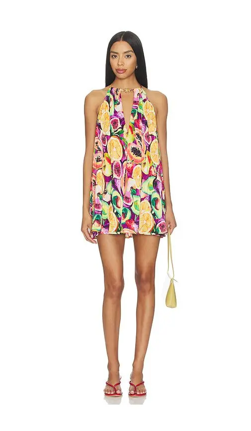 Show Me Your Mumu Lucille Mini Dress - Fruit
