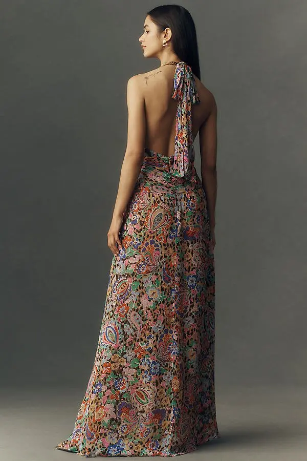 Rixo Alaina Chiffon Maxi Dress - Multi