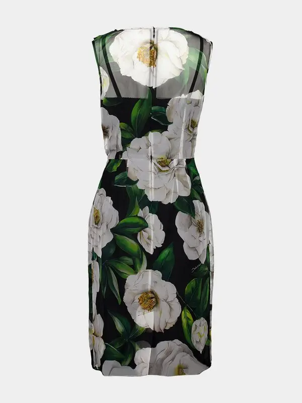Dolce & Gabbana Gardenia Print Chiffon Midi Dress - Black