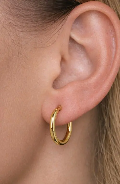 Argento Vivo Small Hoop Earrings In 18k -plated Sterling Silver