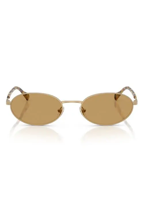 Emporio Armani Oval Sunglasses - Matte Pale Gold/brown