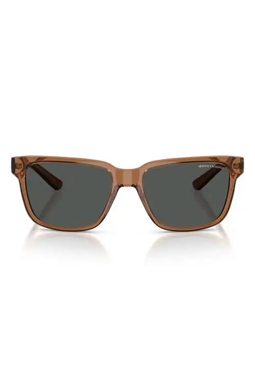 Armani Exchange Square Sunglasses - Transparent Brown/grey