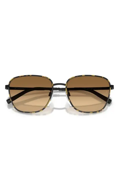 Oliver Spencer Square Sunglasses - Matte Black/saddle