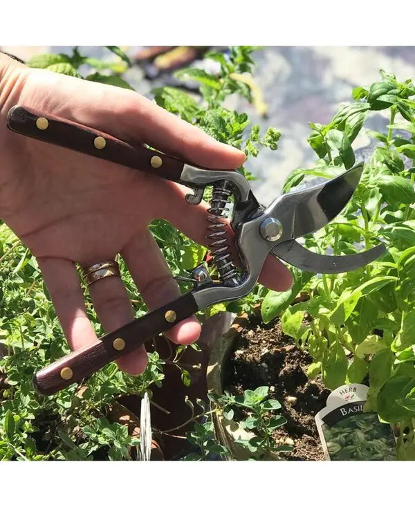 VERVE CULTURE Thai Kitchen & Garden Shears