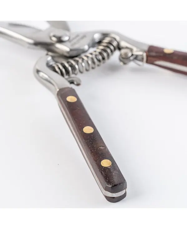 VERVE CULTURE Thai Kitchen & Garden Shears