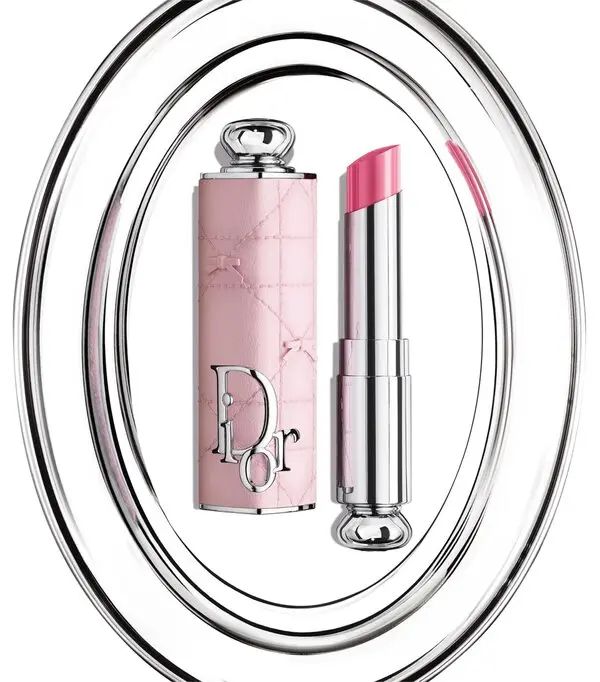 Dior Addict Lipstick Case