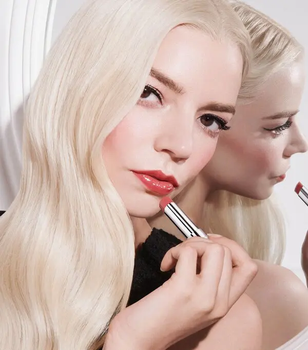 Dior Addict Lipstick Case