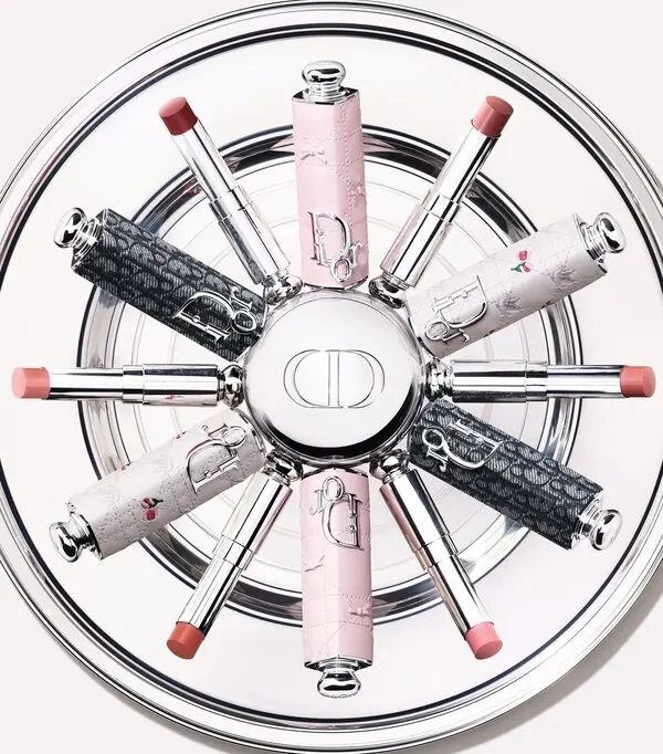 Dior Addict Lipstick Case