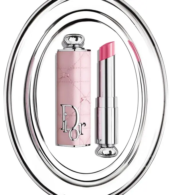 Dior Addict Lipstick Case