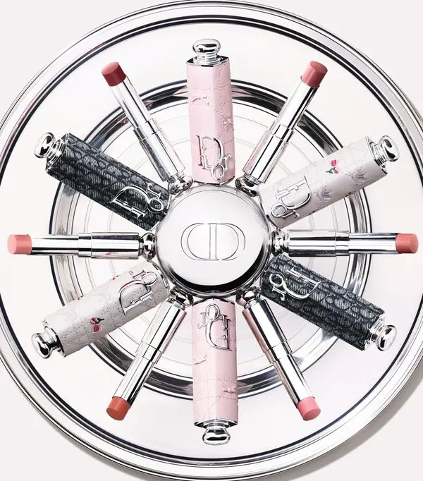 Dior Addict Lipstick Case
