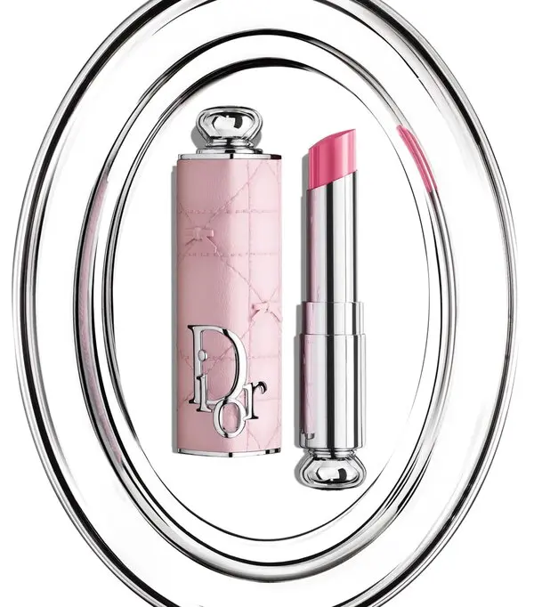 Dior Addict Lipstick Case