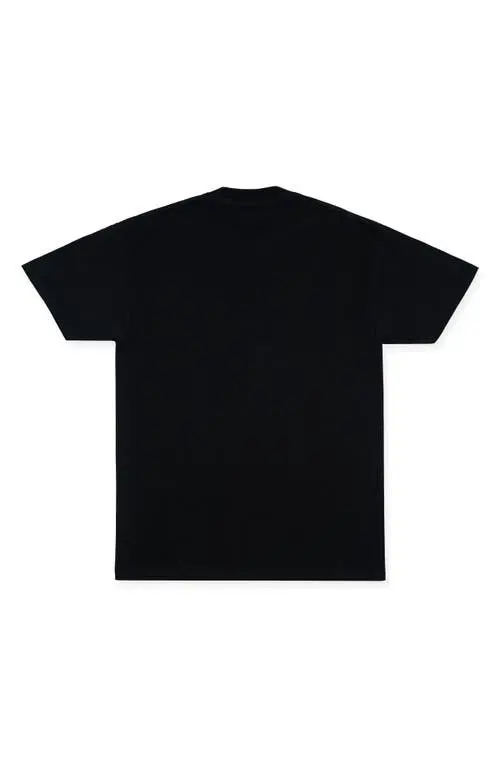 PAPER PLANES Planes East River Cotton Graphic T-shirt