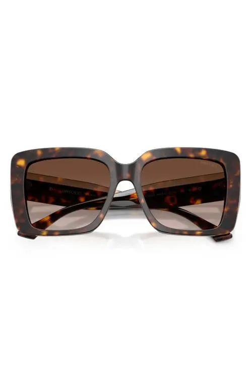 JIMMY CHOO Gradient Square Sunglasses
