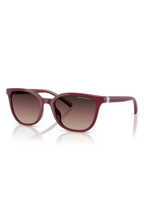 Armani Exchange Cat Eye Sunglasses - Bordeaux/brown Gradient