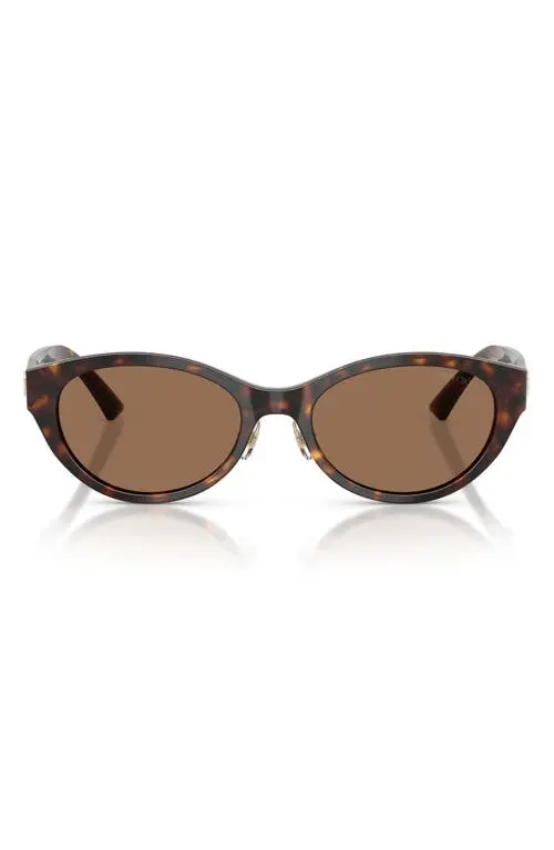 JIMMY CHOO Oval Sunglasses - Havana/dark Brown