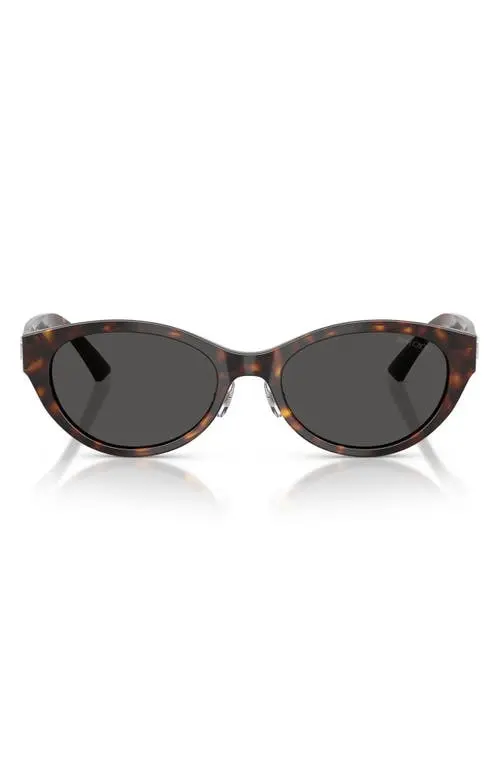 JIMMY CHOO Oval Sunglasses - Havana/dark Grey
