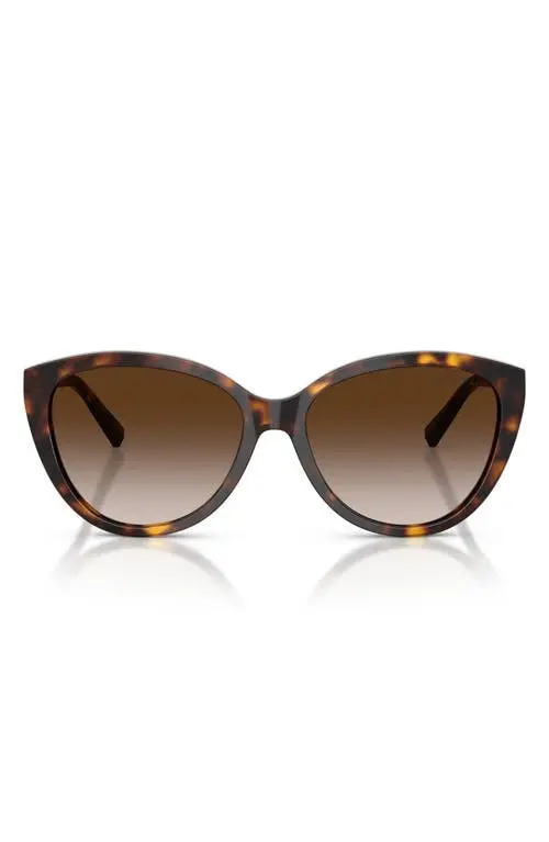 Tiffany & Co. Cat Eye Sunglasses - Havana/brown Gradient