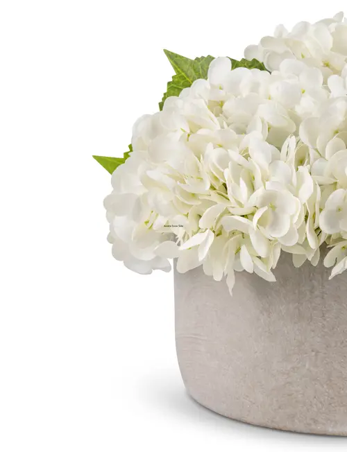 COCOBELLA Aurelia Realtouch Hydrangea Arrangement - Snow