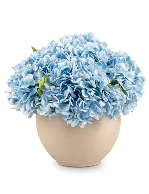 COCOBELLA Azalea Realtouch Hydrangea Arrangementgrande - Azure