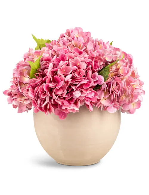 COCOBELLA Azalea Realtouch Hydrangea Arrangementgrande - Blush