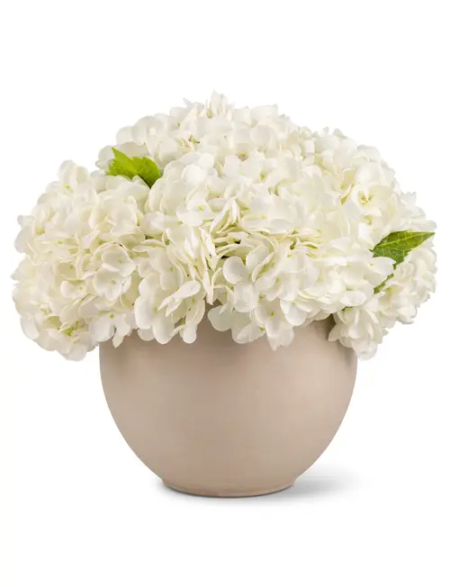 COCOBELLA Azalea Realtouch Hydrangea Arrangementgrande - Snow