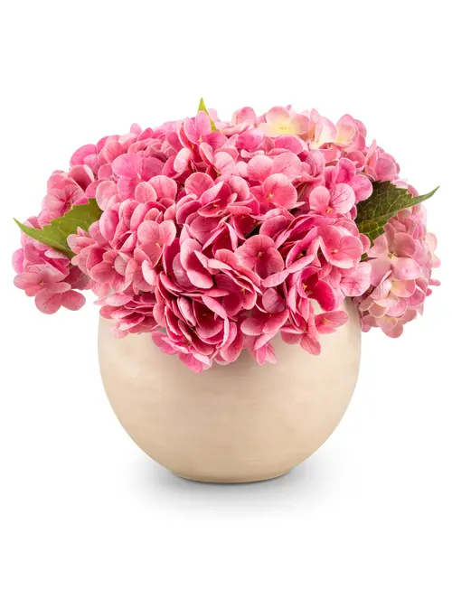COCOBELLA Azalea Realtouch Hydrangea Arrangement - Blush