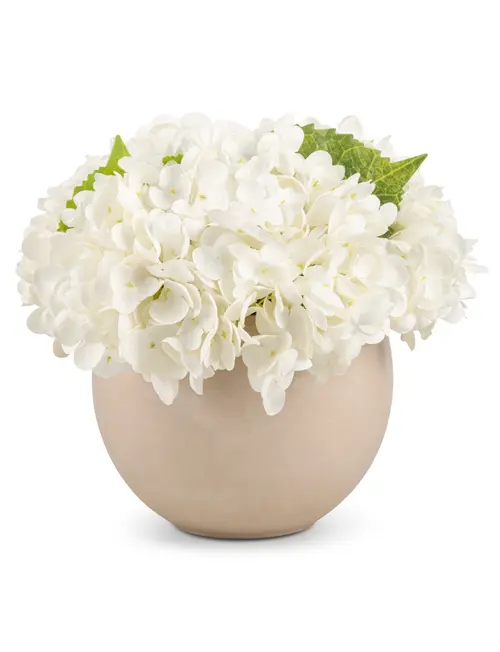 COCOBELLA Azalea Realtouch Hydrangea Arrangement - Snow