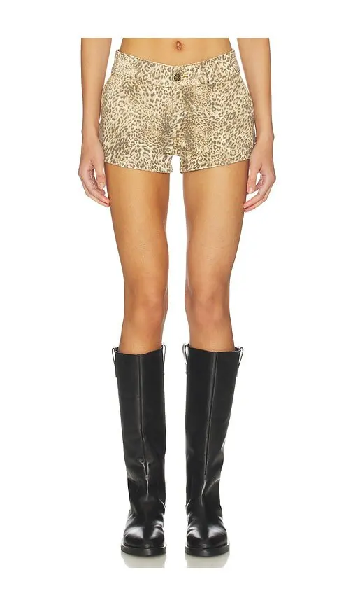 Lioness Gisele Short