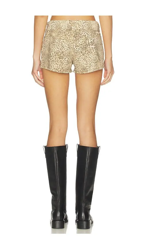 Lioness Gisele Short