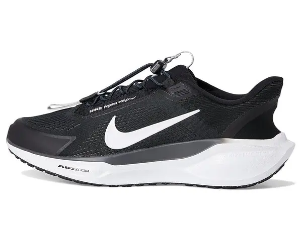 Nike Pegasus Easy On Running Shoes