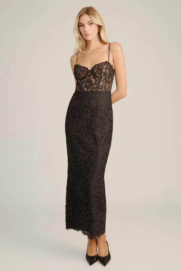Bardot Blaine Lace Bustier Midi Dress
