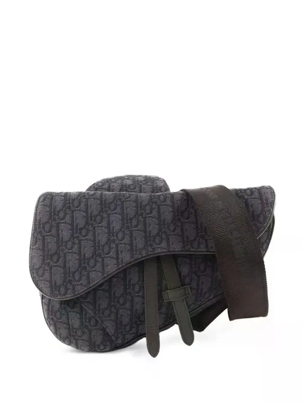 Dior Saddle Canvas Bag