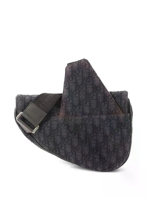 Dior Saddle Canvas Bag
