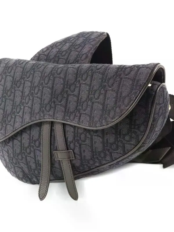 Dior Saddle Canvas Bag