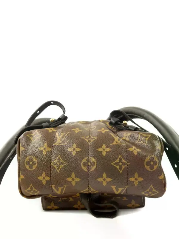 LOUIS VUITTON Palm Springs Monogram Backpack
