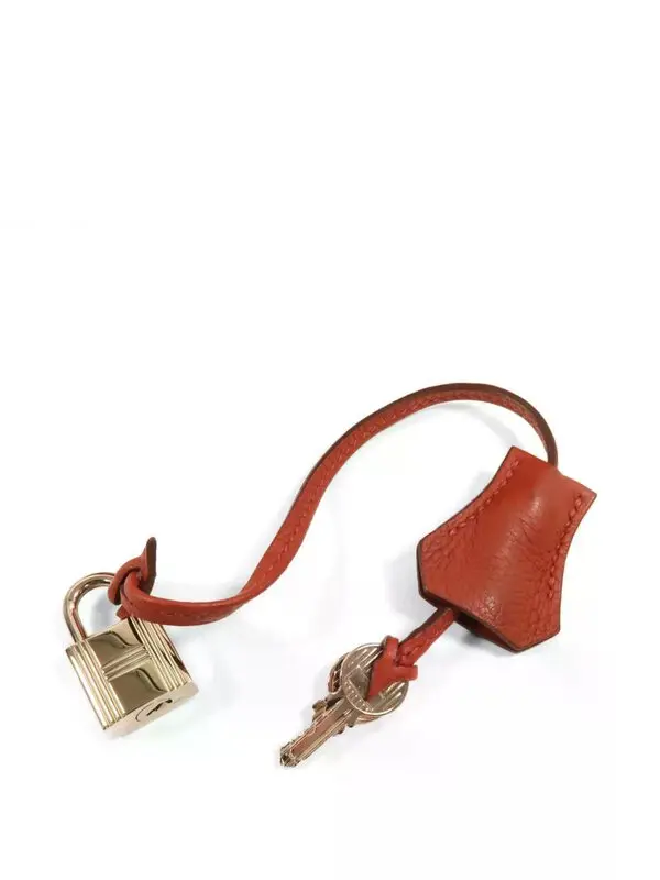 Hermès Birkin Tote Bag - Orange