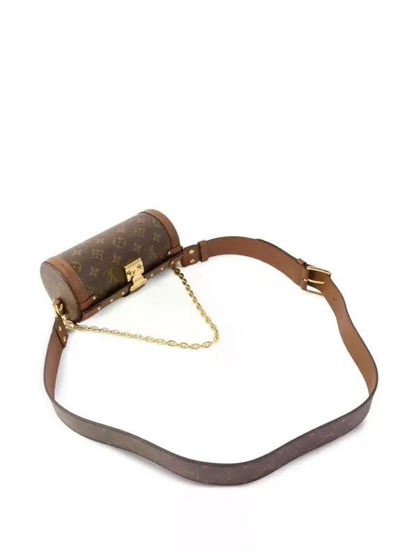 LOUIS VUITTON Papillon Trunk Shoulder Bag