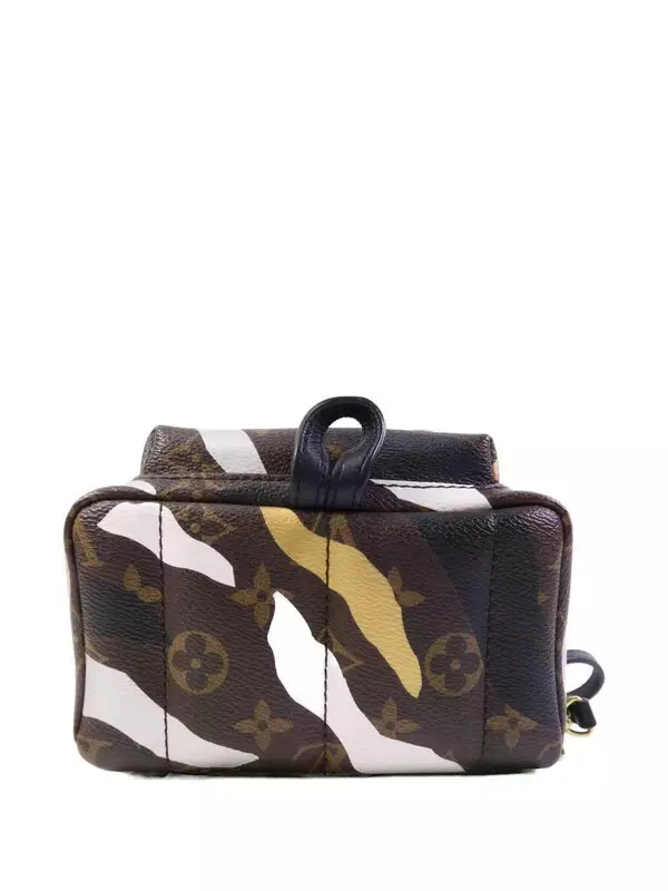 LOUIS VUITTON Palm Springs Monogram Backpack With Tiger Print Details - Brown