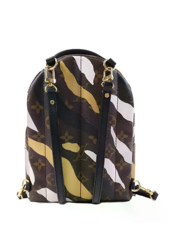 LOUIS VUITTON Palm Springs Monogram Backpack With Tiger Print Details - Brown