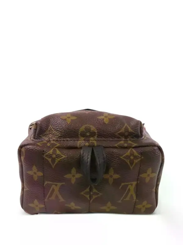 LOUIS VUITTON Mini Palm Springs Backpack - Brown