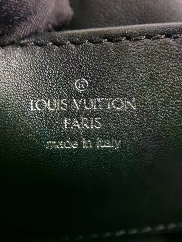 LOUIS VUITTON Go-14 Pm Shoulder Bag
