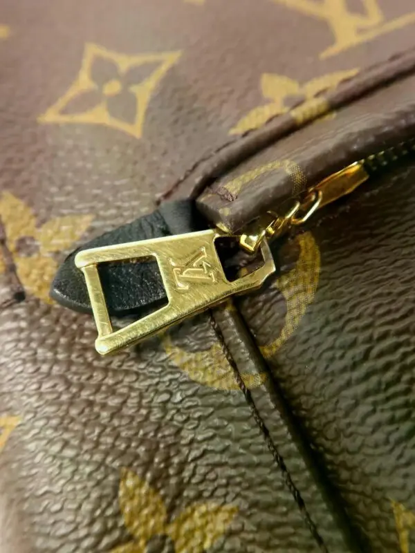 LOUIS VUITTON Palm Springs Backpack