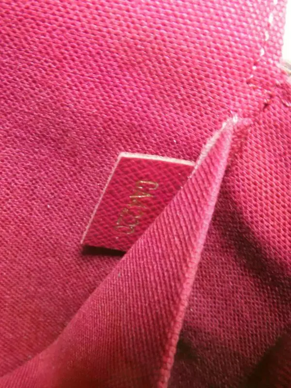 LOUIS VUITTON Pochette Félicie Crossbody Bag