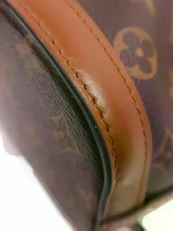 LOUIS VUITTON Dauphine Monogram Reverse Backpack