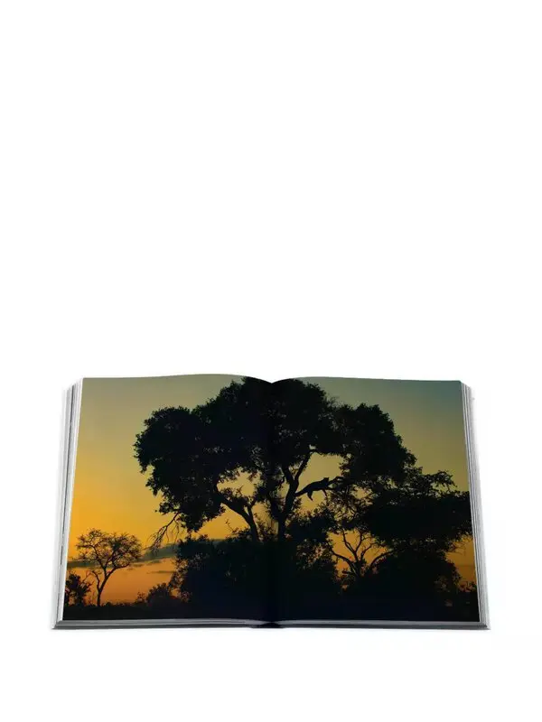 Assouline Londolozi: The Safari That Changed Everything Book