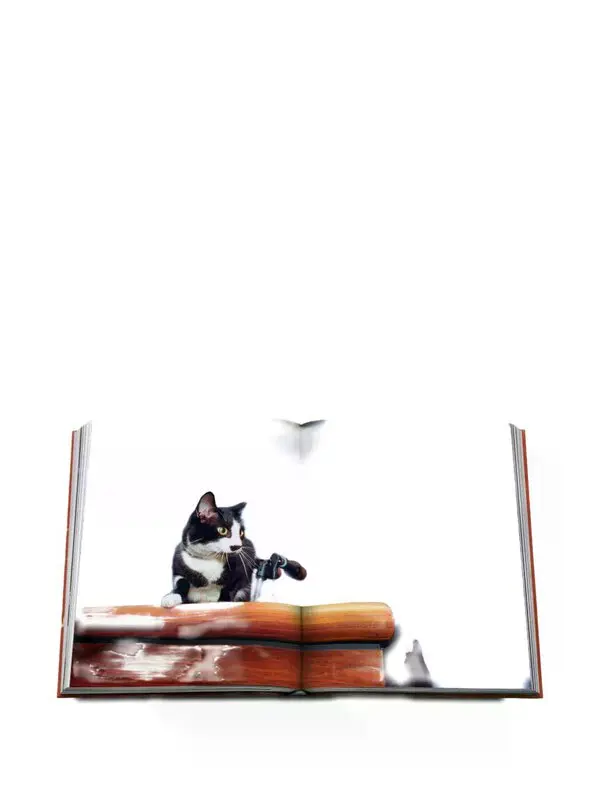 Assouline Chic Cats Book