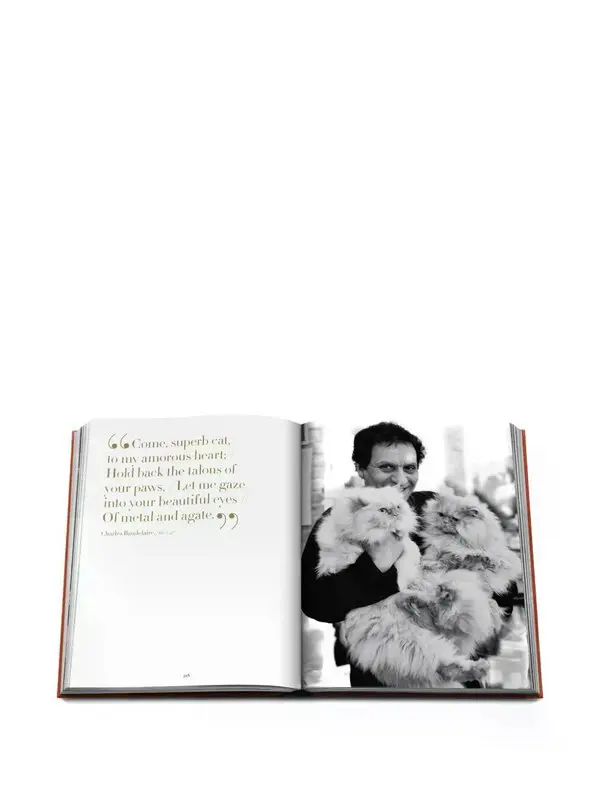 Assouline Chic Cats Book
