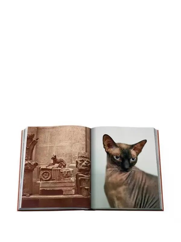 Assouline Chic Cats Book - Orange