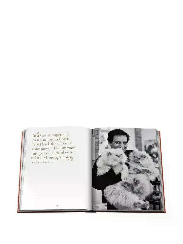 Assouline Chic Cats Book - Orange