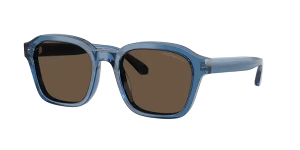 Emporio Armani Sunglasses - Solid Brown